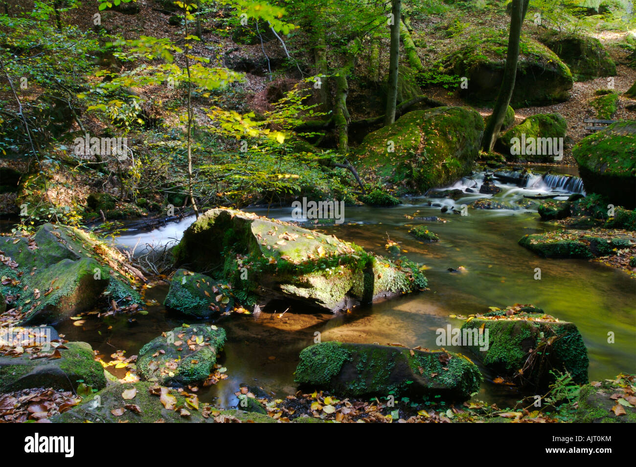 Brook run in autumn into a german forest Stock Photo - Alamy