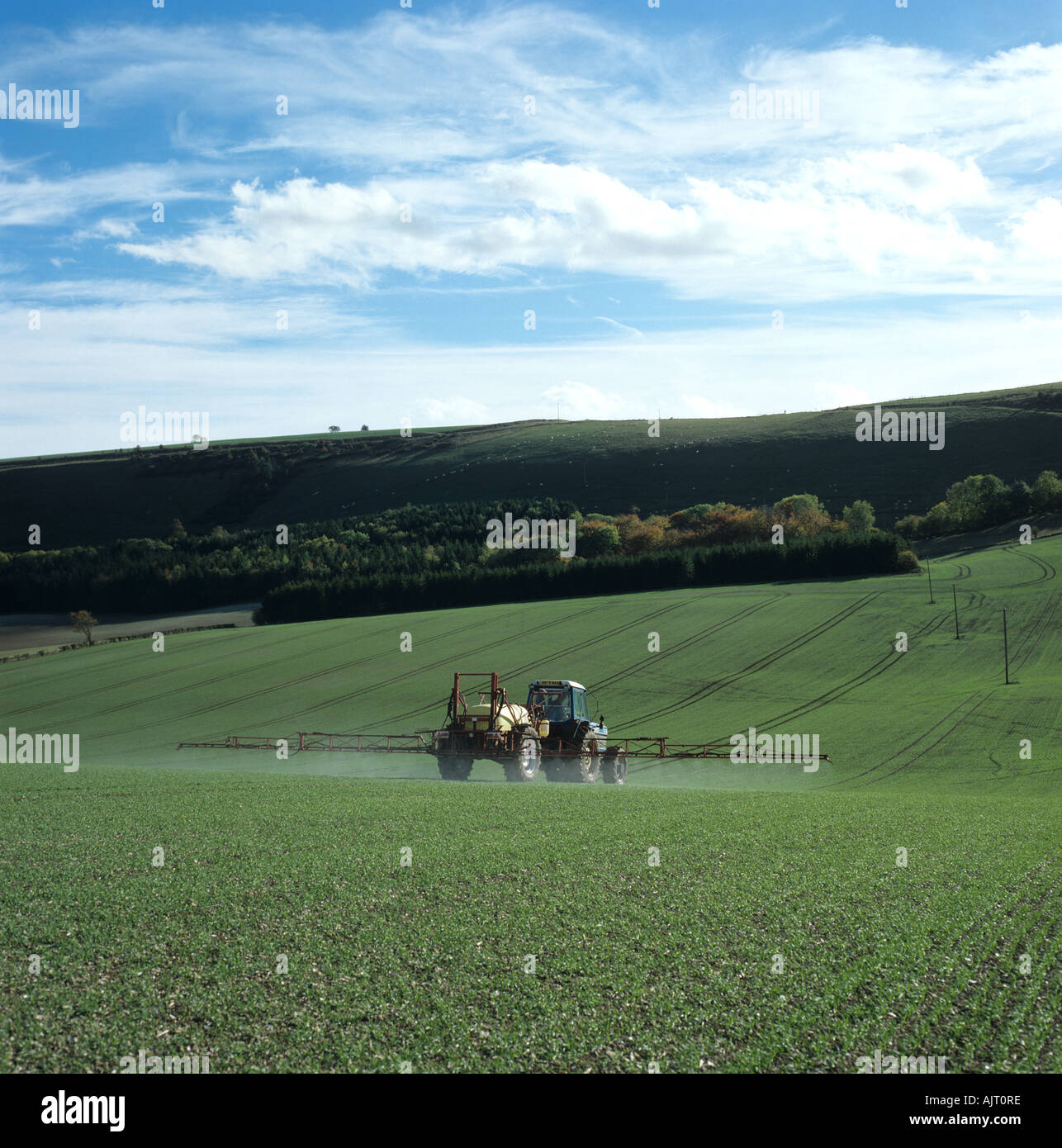 Ford tractor Hardi sprayer spraying seedling wheat crop on fine autumn ...