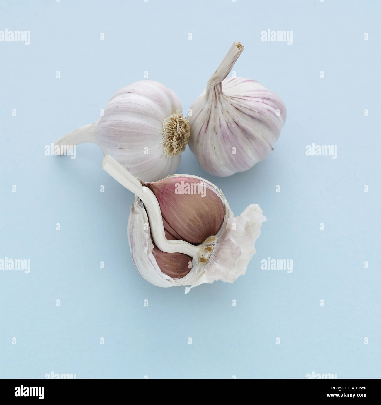 Garlic on pale blue background Stock Photo - Alamy