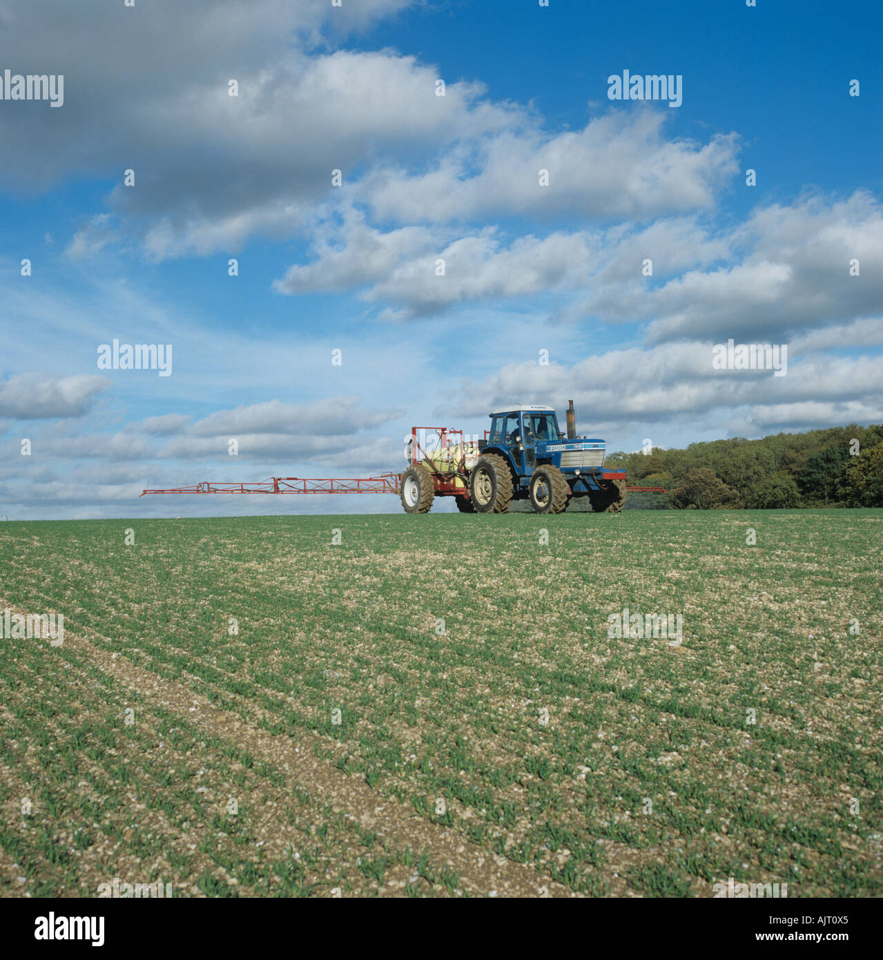 Ford tractor Hardi sprayer spraying seedling wheat crop on fine autumn ...