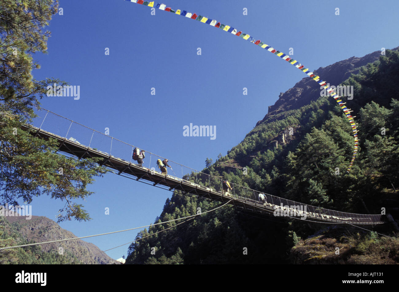 People walking across a rope bridge Stock Photo - Alamy