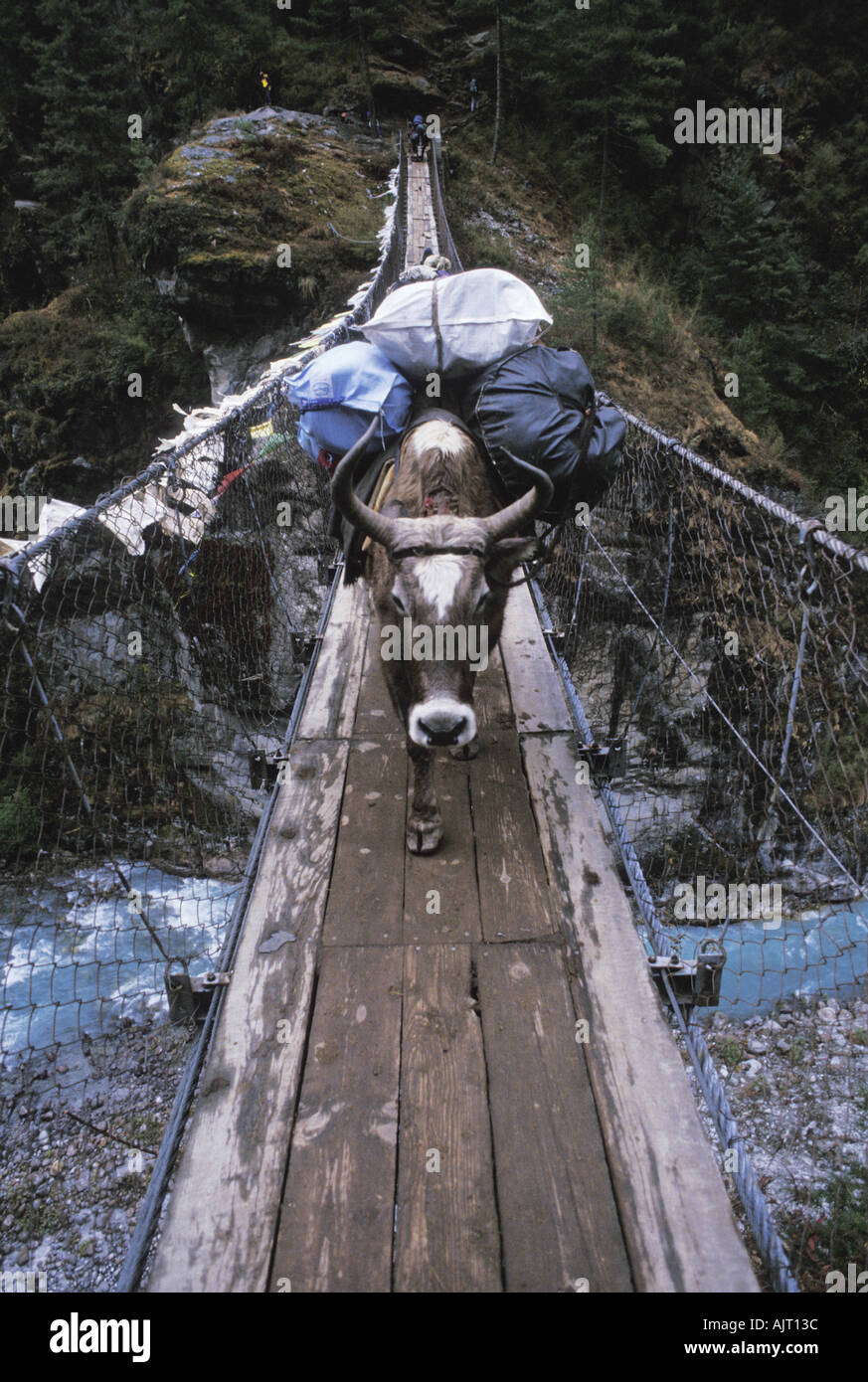 Ox bridge hi-res stock photography and images - Alamy