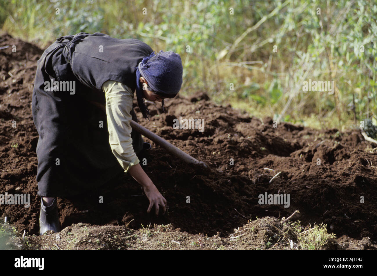Person working the land by hand Stock Photo - Alamy