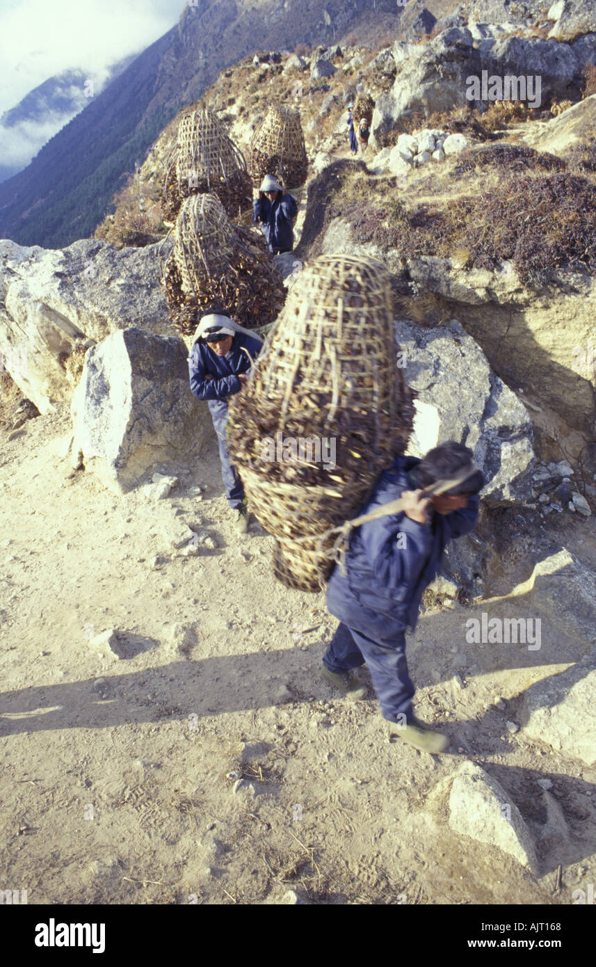 People carrying heavy loads up a mountain path Stock Photo - Alamy