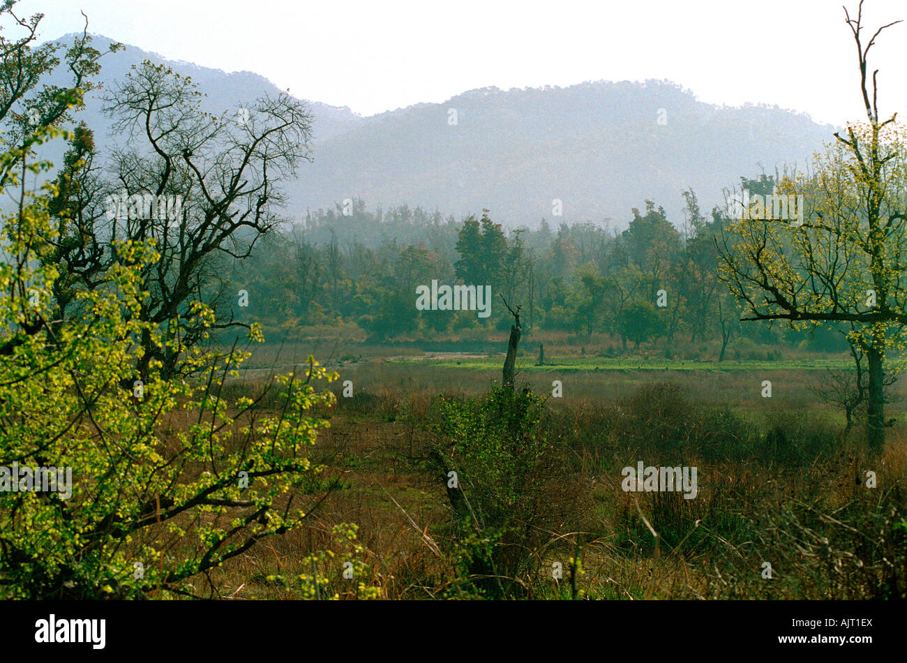 Open scrubland hi-res stock photography and images - Alamy