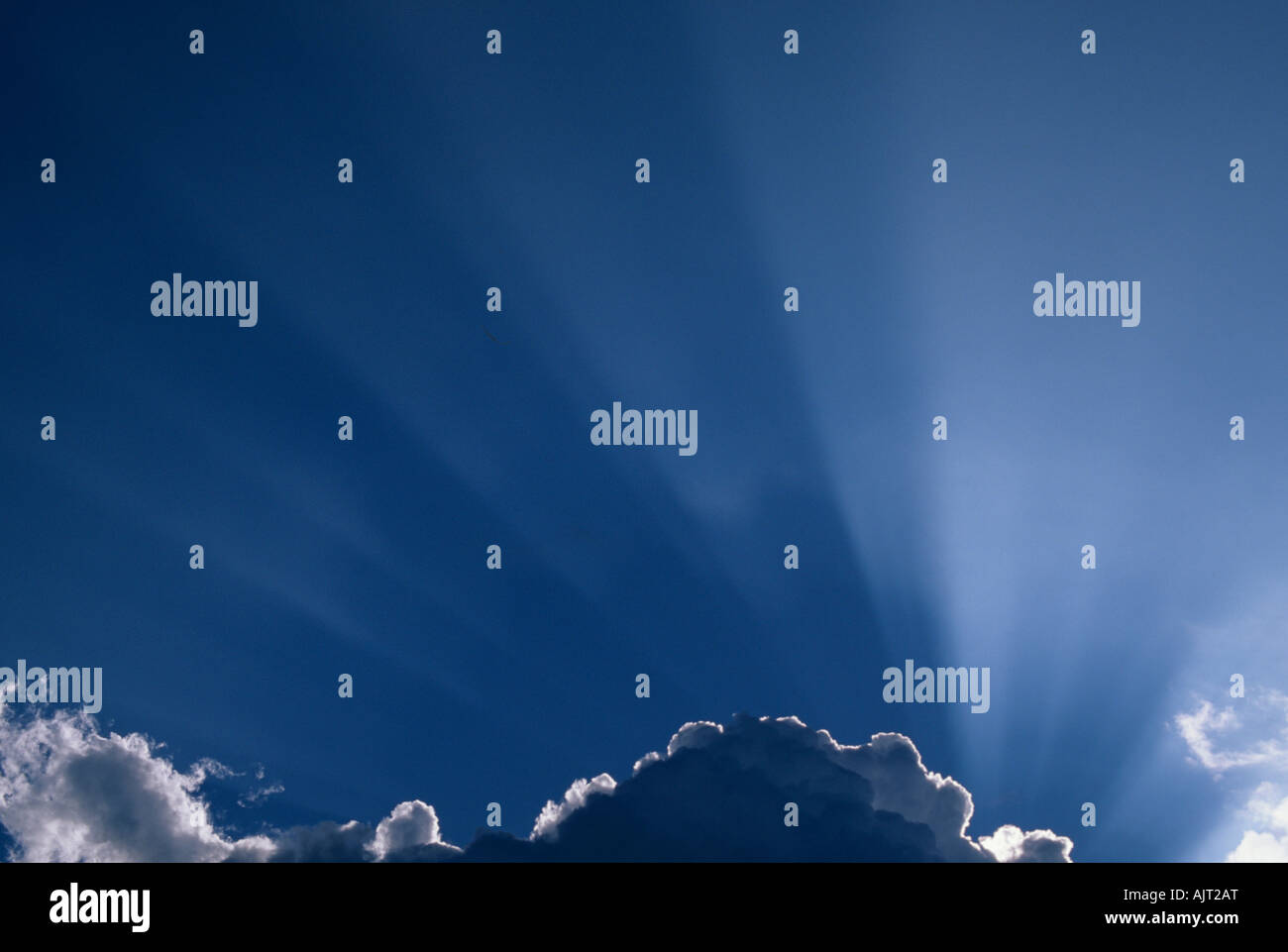 Crepuscular rays and Cumulus clouds Stock Photo - Alamy