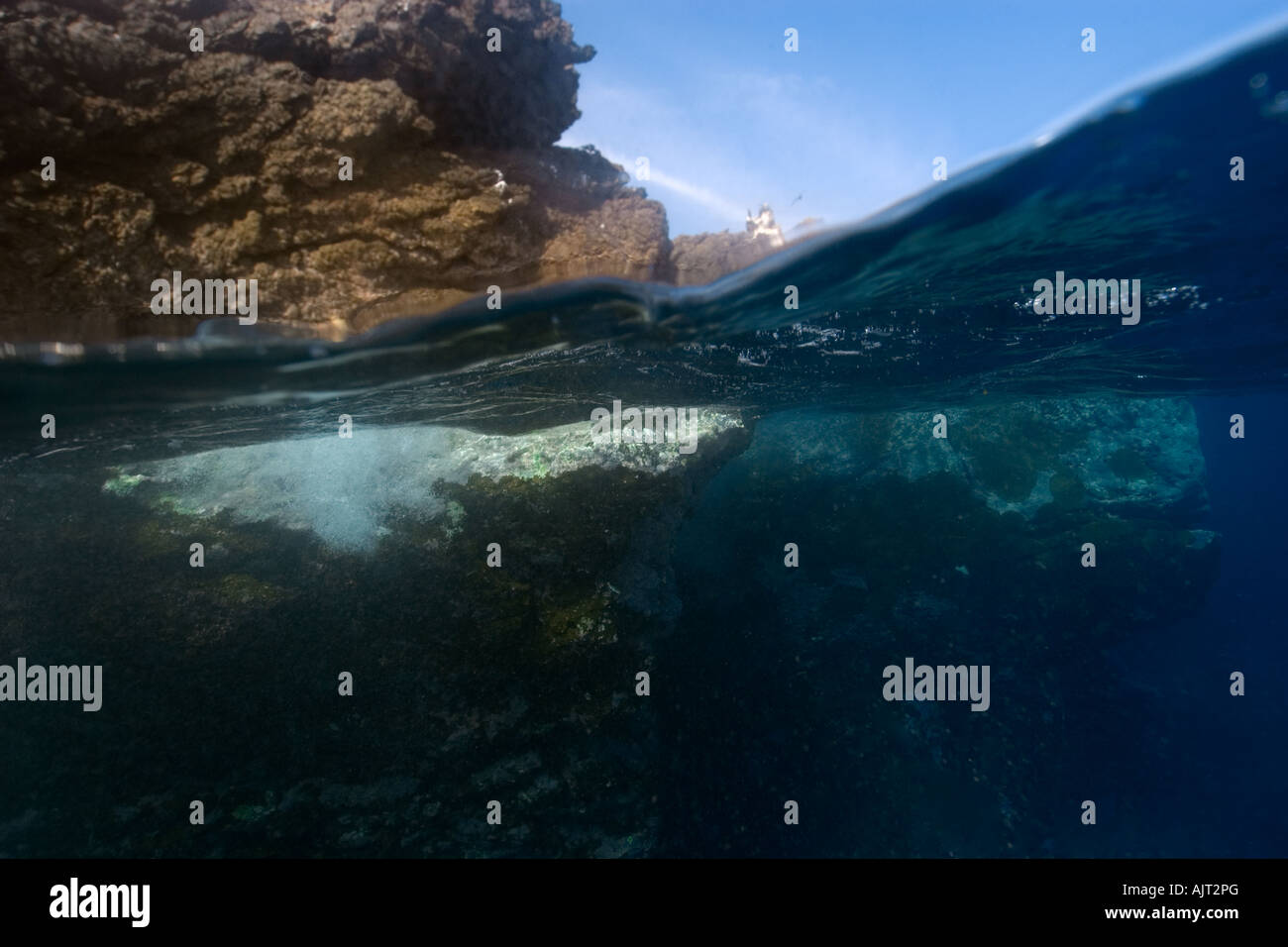Split image of rocks and underwater substrate St Peter and St Paul s ...