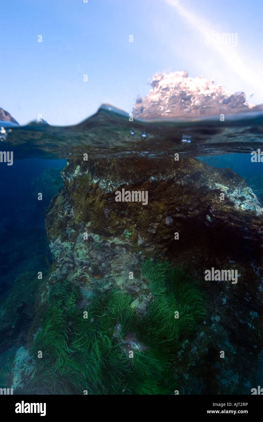 Split image of rocks and underwater substrate St Peter and St Paul s ...