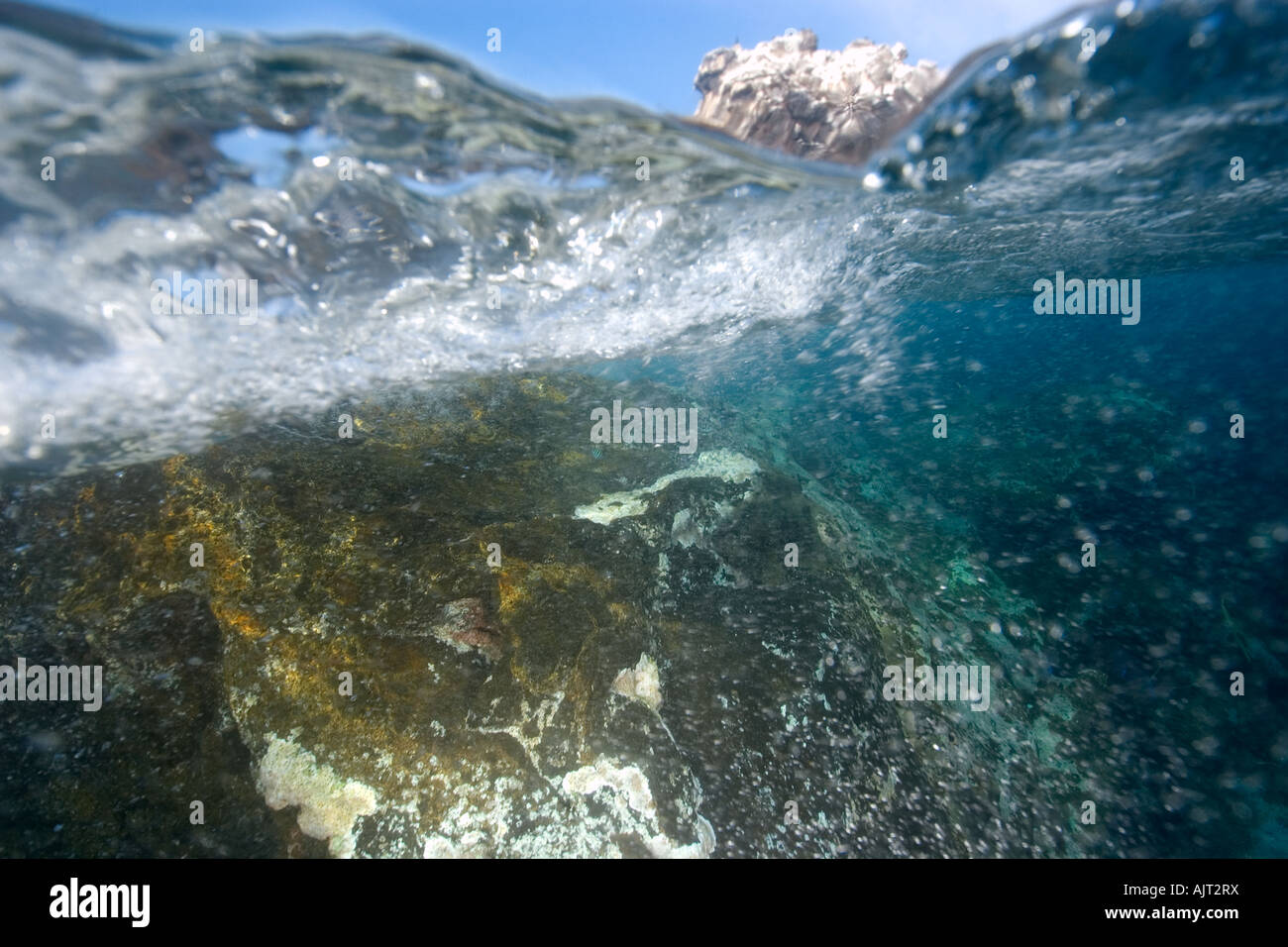 White rocks underwater hi-res stock photography and images - Alamy