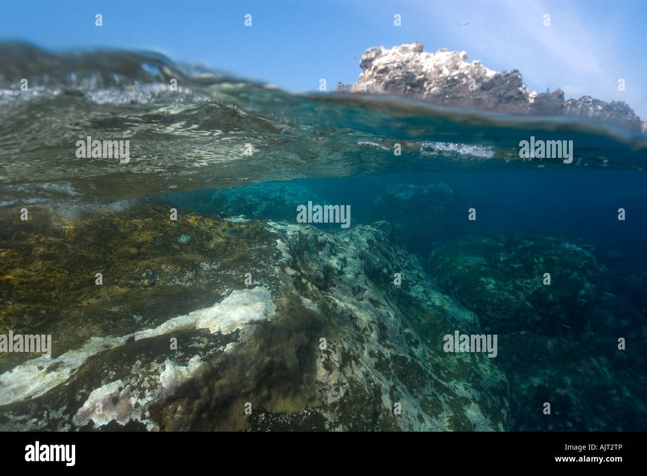 Split image of rocks and underwater substrate St Peter and St Paul s ...