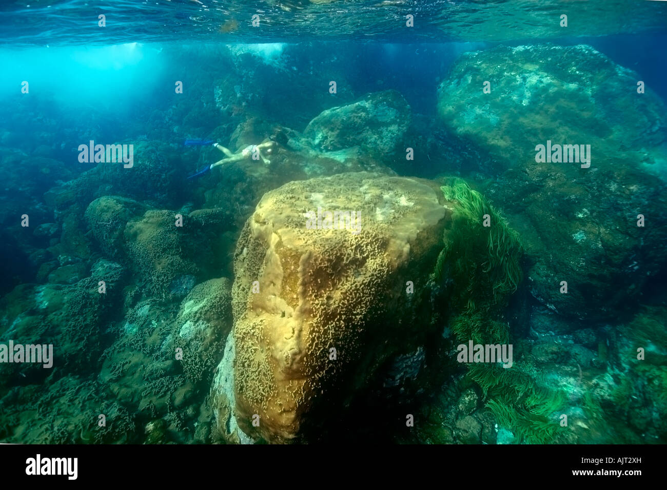 Substrate exploration hi-res stock photography and images - Alamy