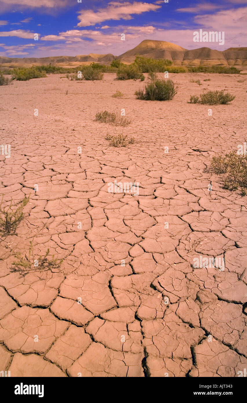 Soil crust utah hi-res stock photography and images - Alamy