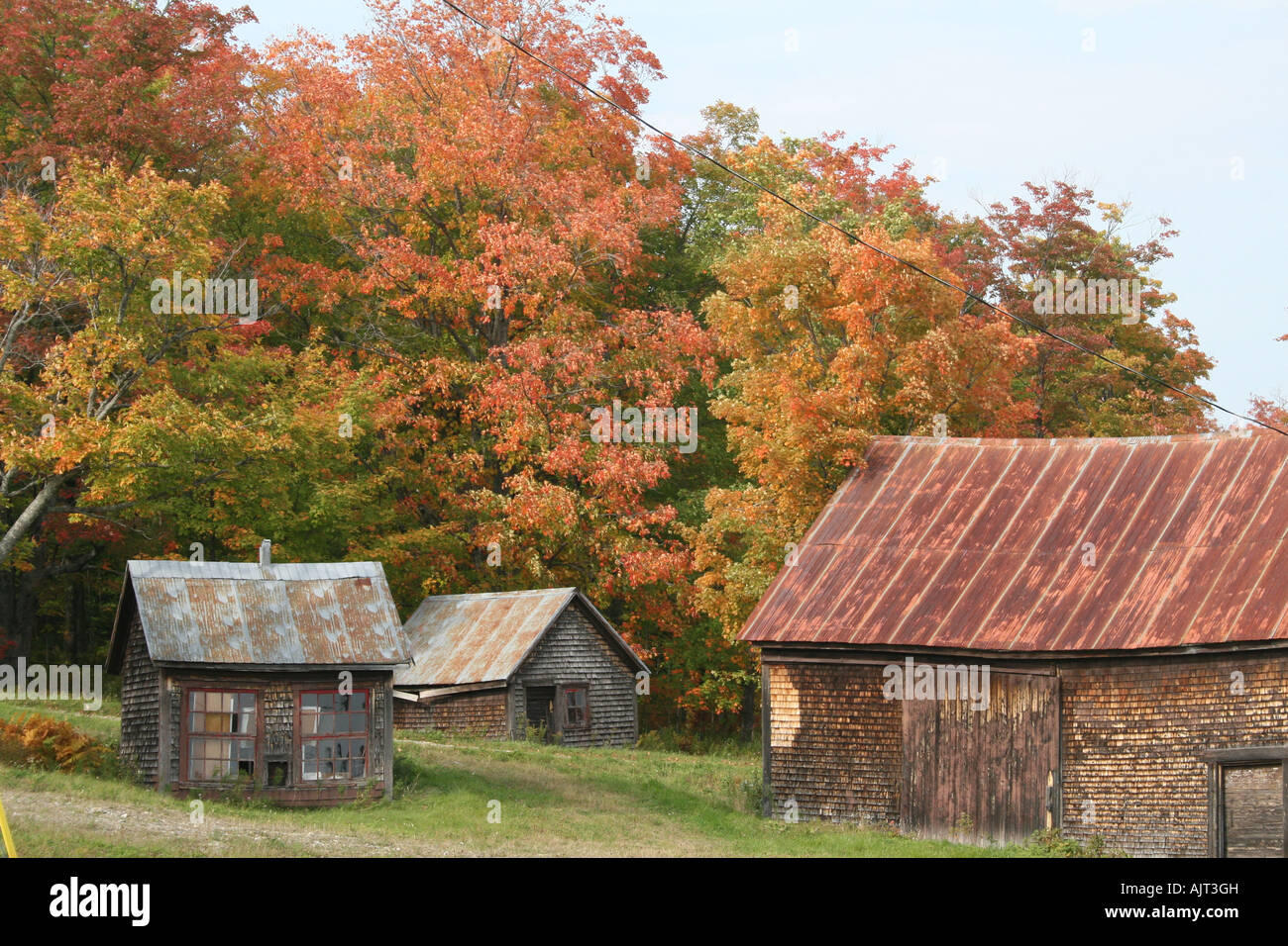 Old barn and sheds in a fall rural landscape Stock Photo - Alamy