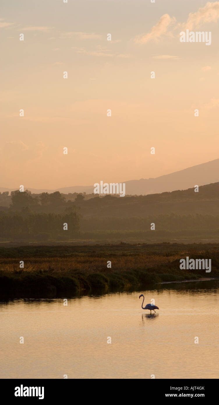 Big salt Swamp in Sulcis, Sardegna, Italy Stock Photo - Alamy