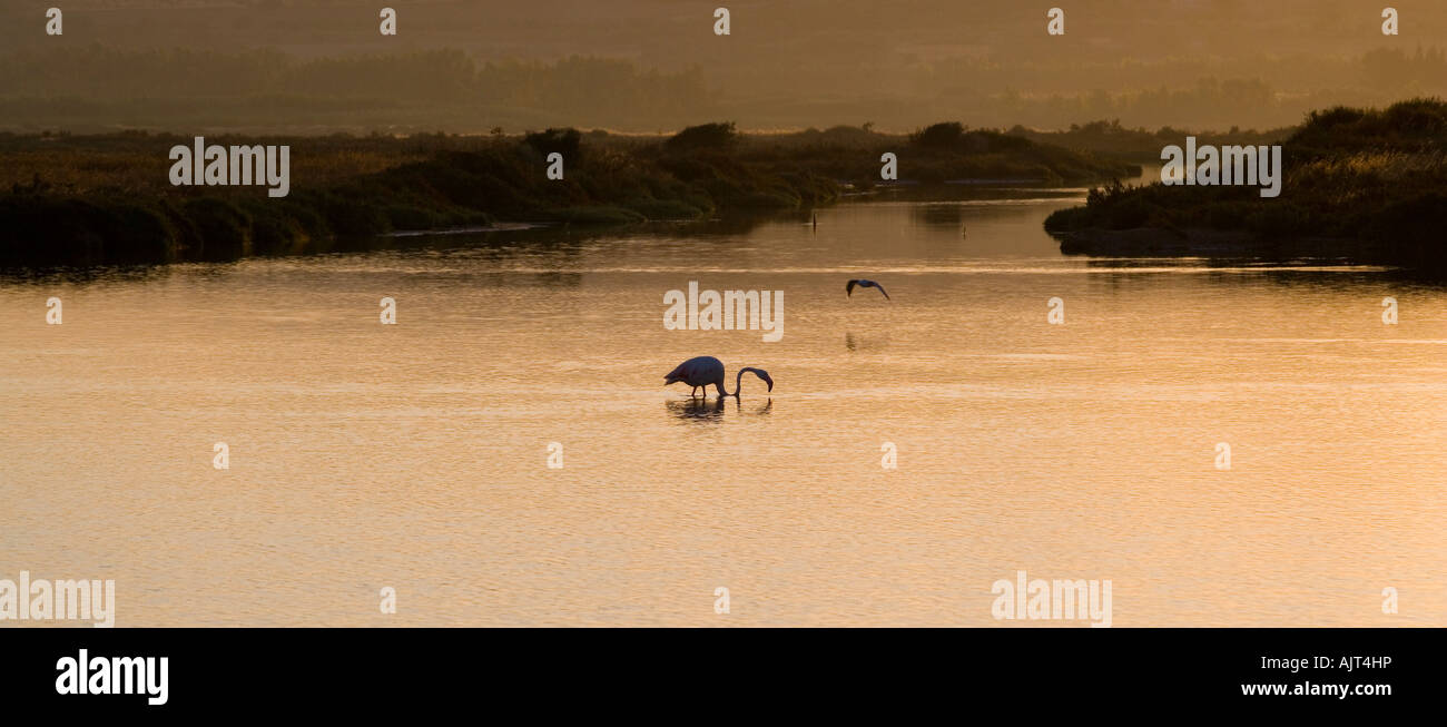 Big salt Swamp in Sulcis, Sardegna, Italy Stock Photo - Alamy