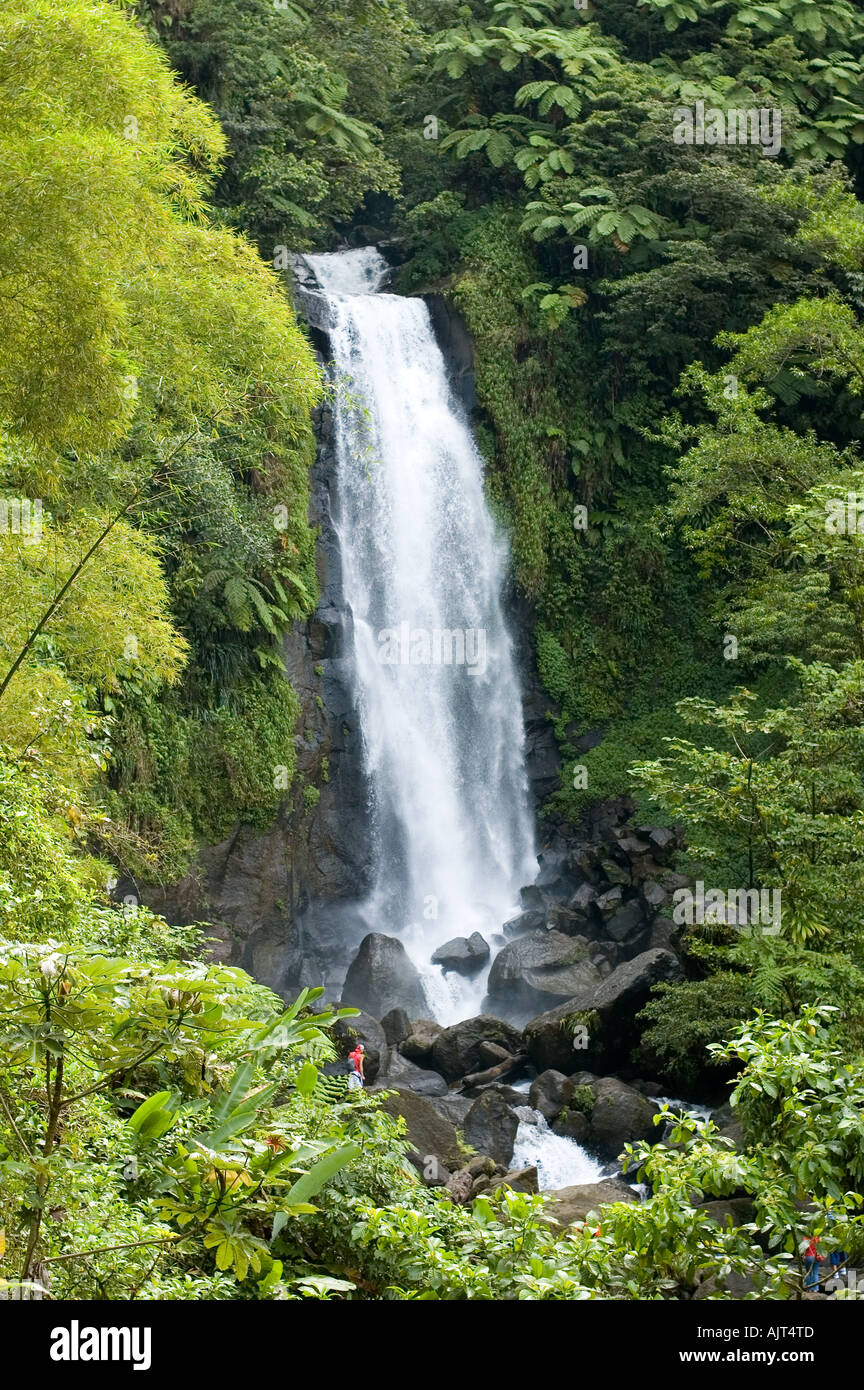 Trafalgar Falls, Dominica Stock Photo - Alamy