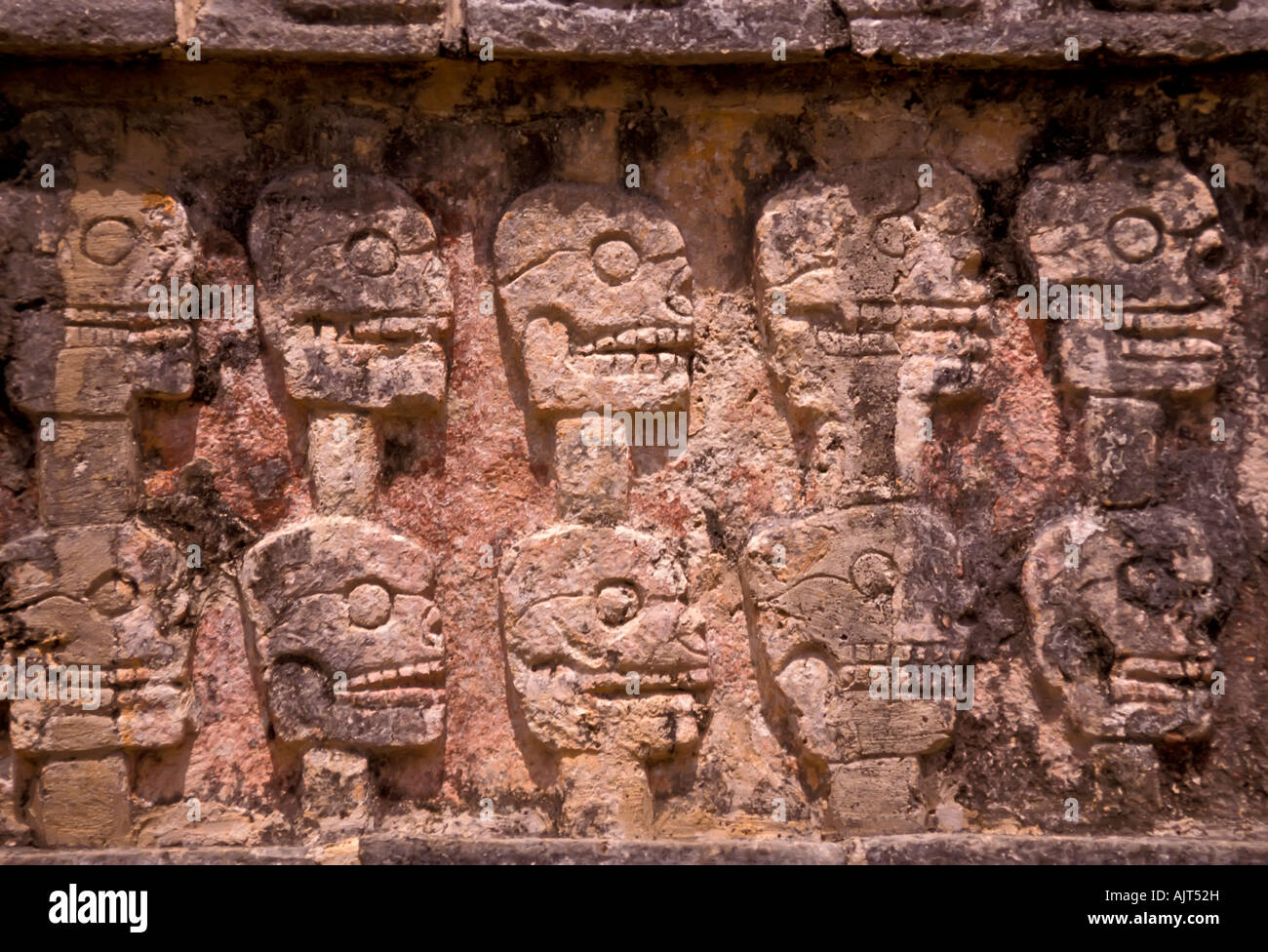 Rack Of Human Skulls High Resolution Stock Photography and Images - Alamy