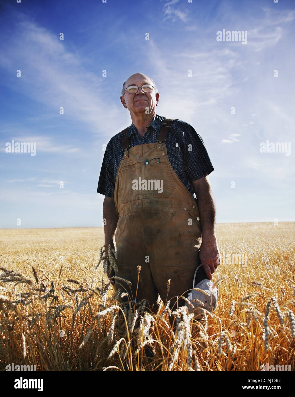 Famer standing in a barley field Stock Photo - Alamy