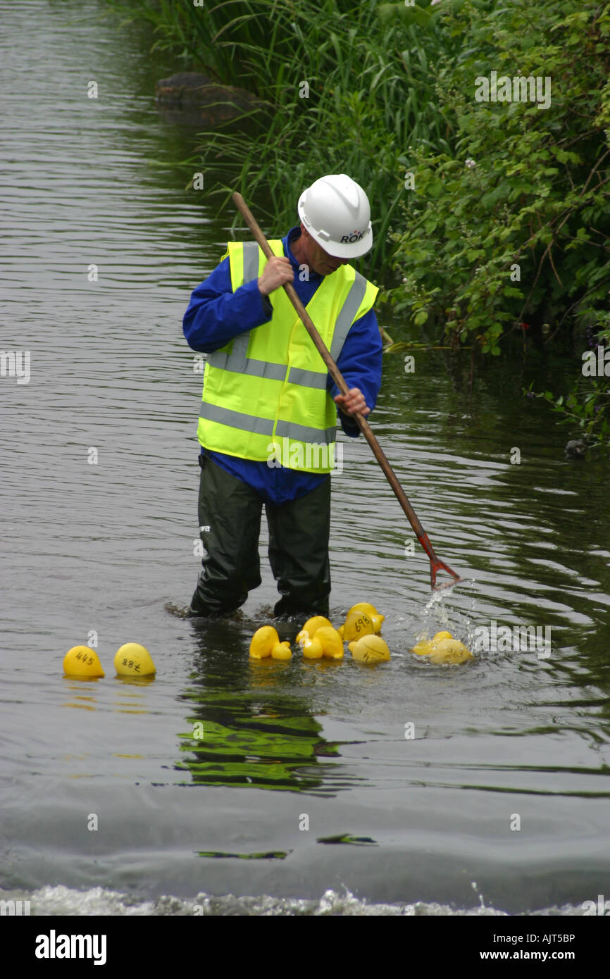 Catch ducks hi-res stock photography and images - Alamy