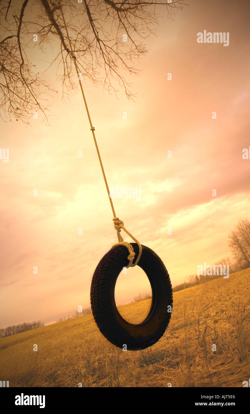 A tire swing Stock Photo - Alamy