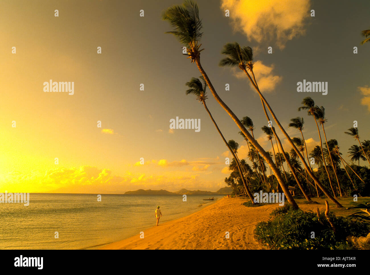 Pinneys Beach, Nevis, with idyllic tropical setting of palm trees and ...