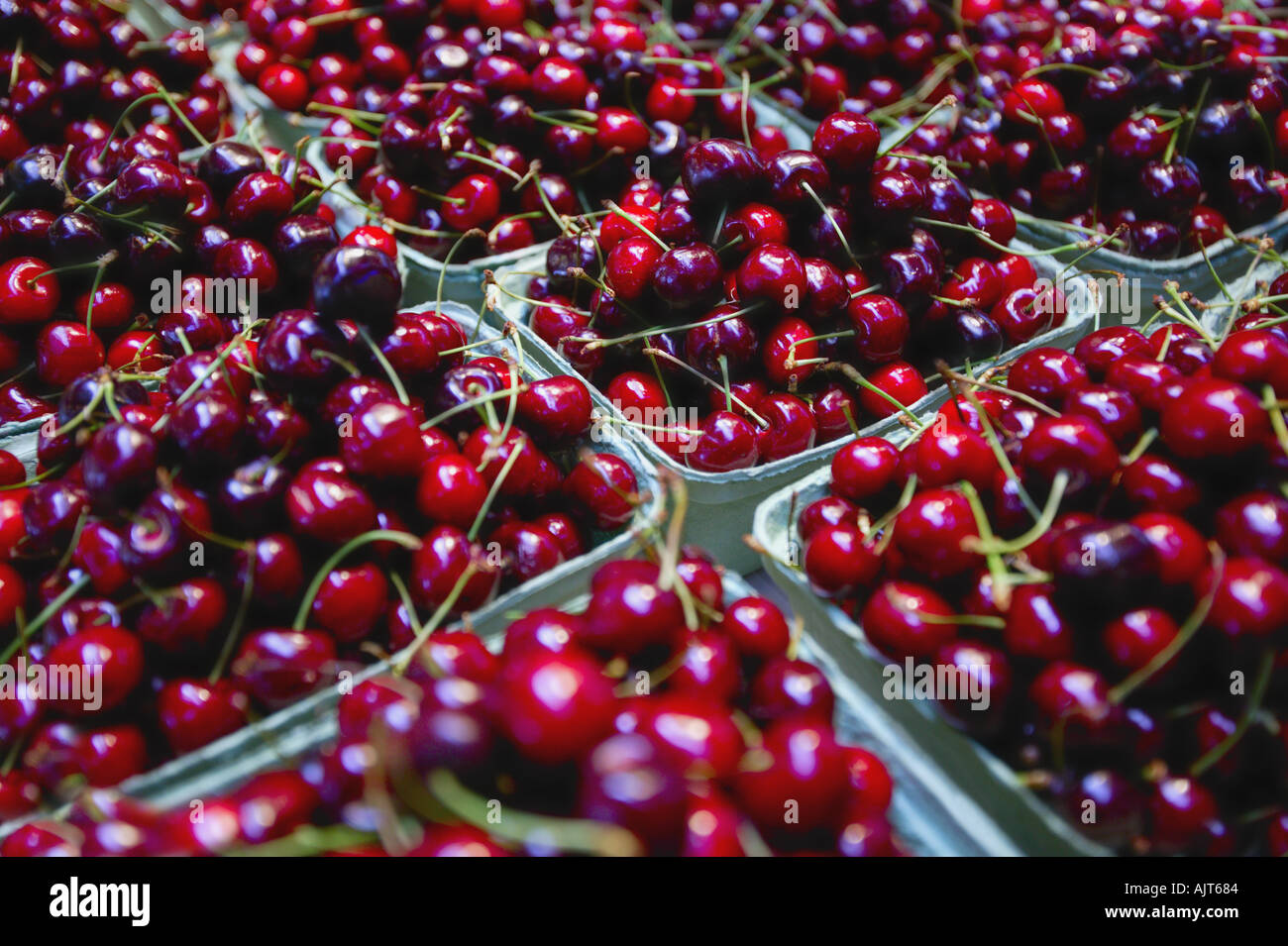 Cherries design hi-res stock photography and images - Alamy