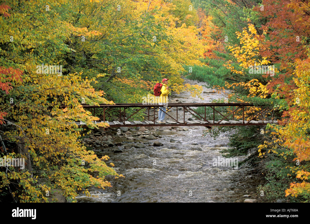 Fall river nova scotia hi-res stock photography and images - Alamy