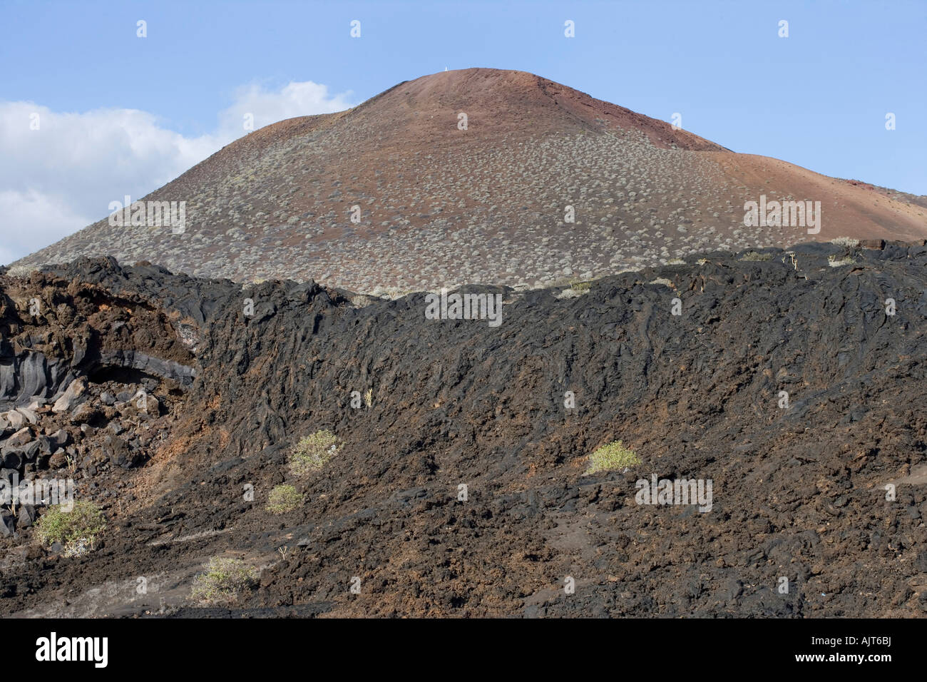 View of a lava landscape in the south of the islands Stock Photo - Alamy