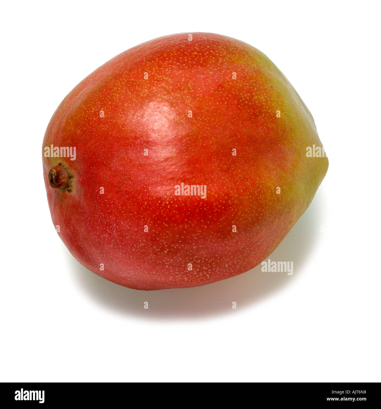 India mango tree Cut Out Stock Images & Pictures - Alamy