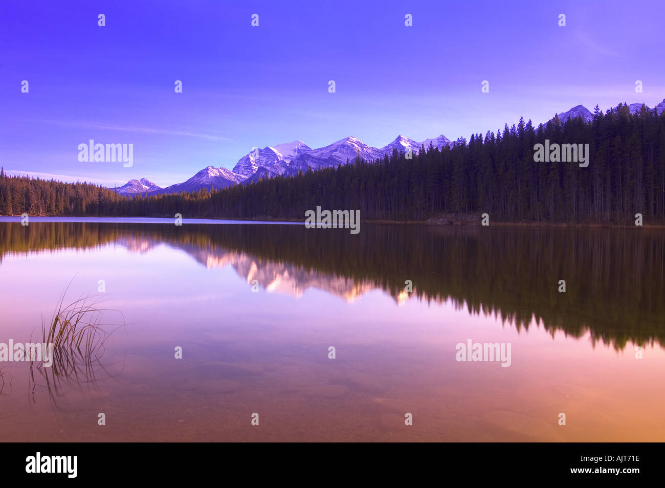 Reflection in water, Herbert Lake, Banff National Park, Alberta, Canada ...