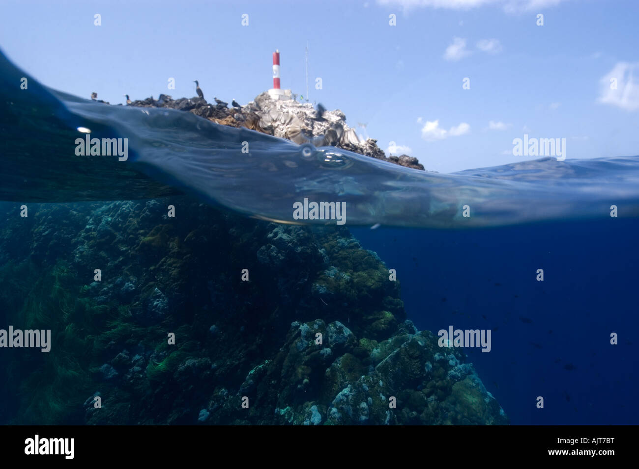 Split image of rocks lighthouse and underwater substrate St Peter and ...