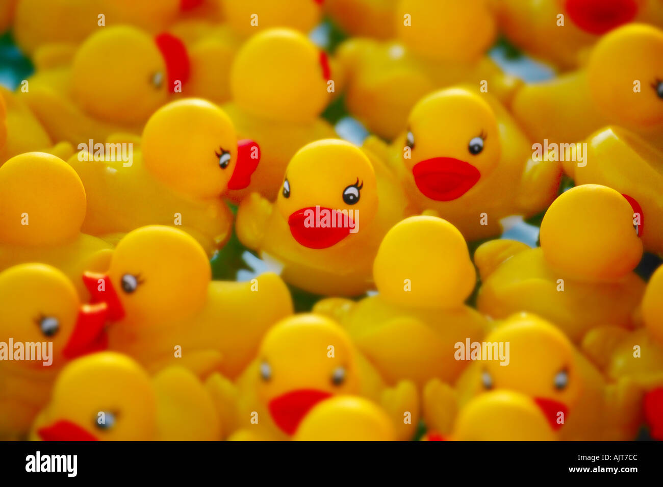Group yellow rubber duck hi-res stock photography and images - Alamy