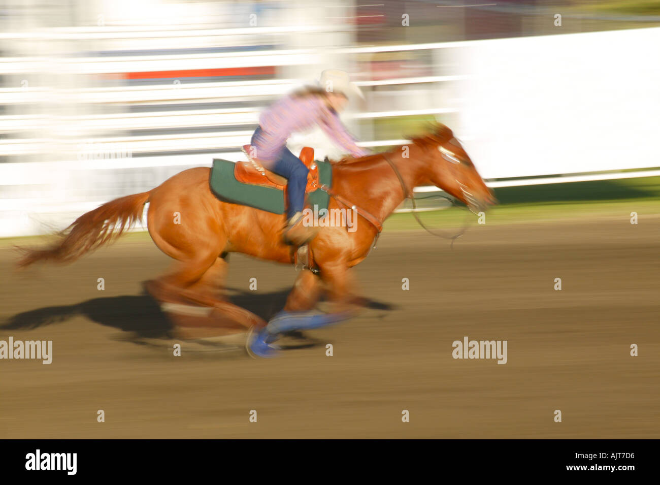 Galloping on horseback Stock Photo - Alamy