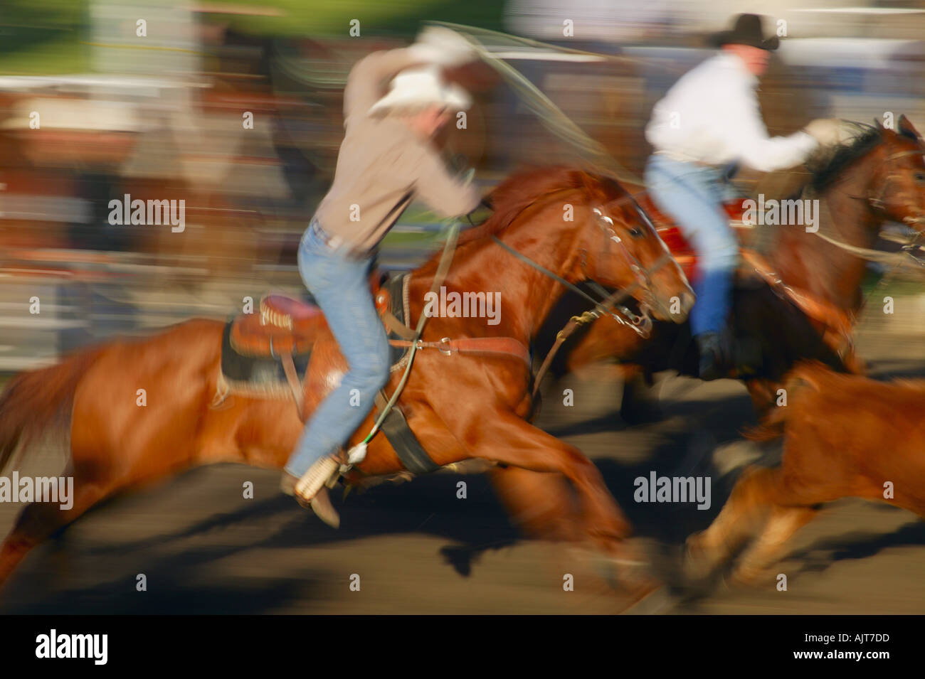 Horse racing races cowboy hat hi-res stock photography and images - Alamy