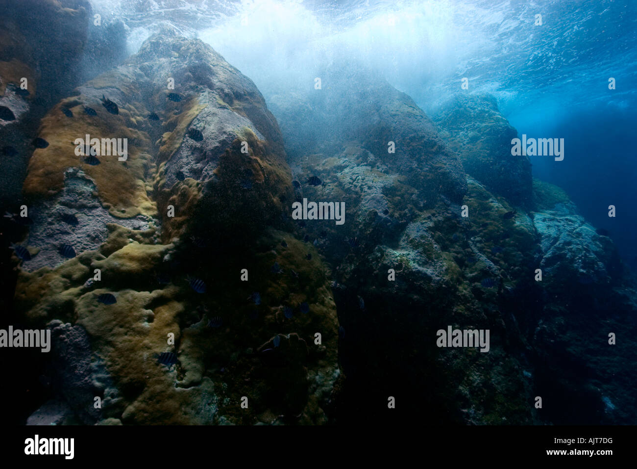 Waves breaking against rocky underwater substrate St Peter and St Paul ...