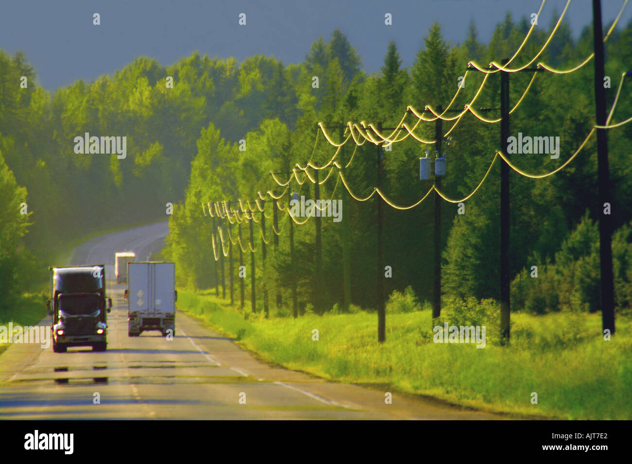 Rain forest trees trucks hi-res stock photography and images - Alamy