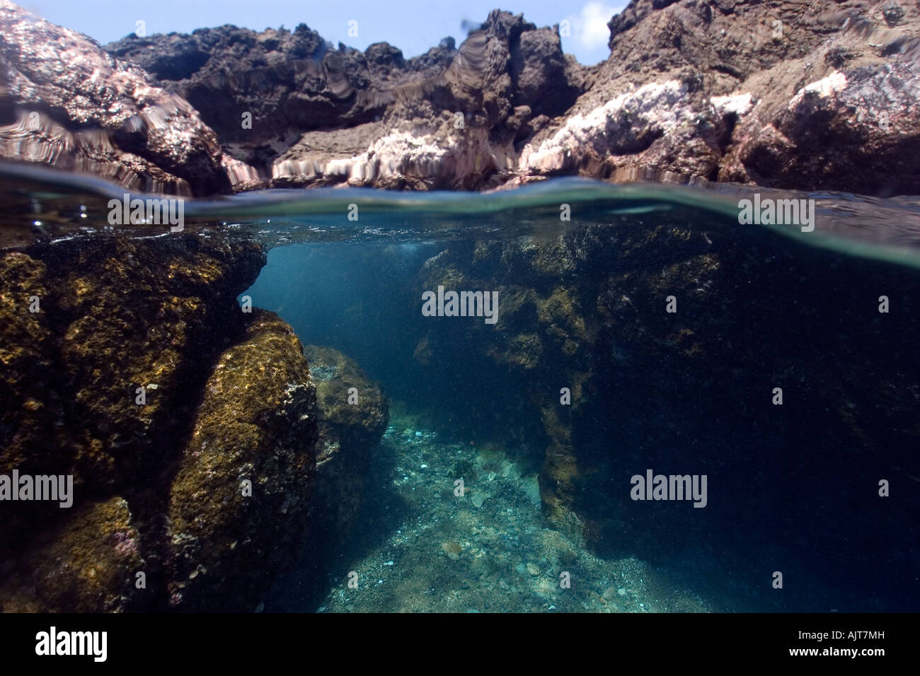 Split image of rocks and underwater substrate St Peter and St Paul s ...