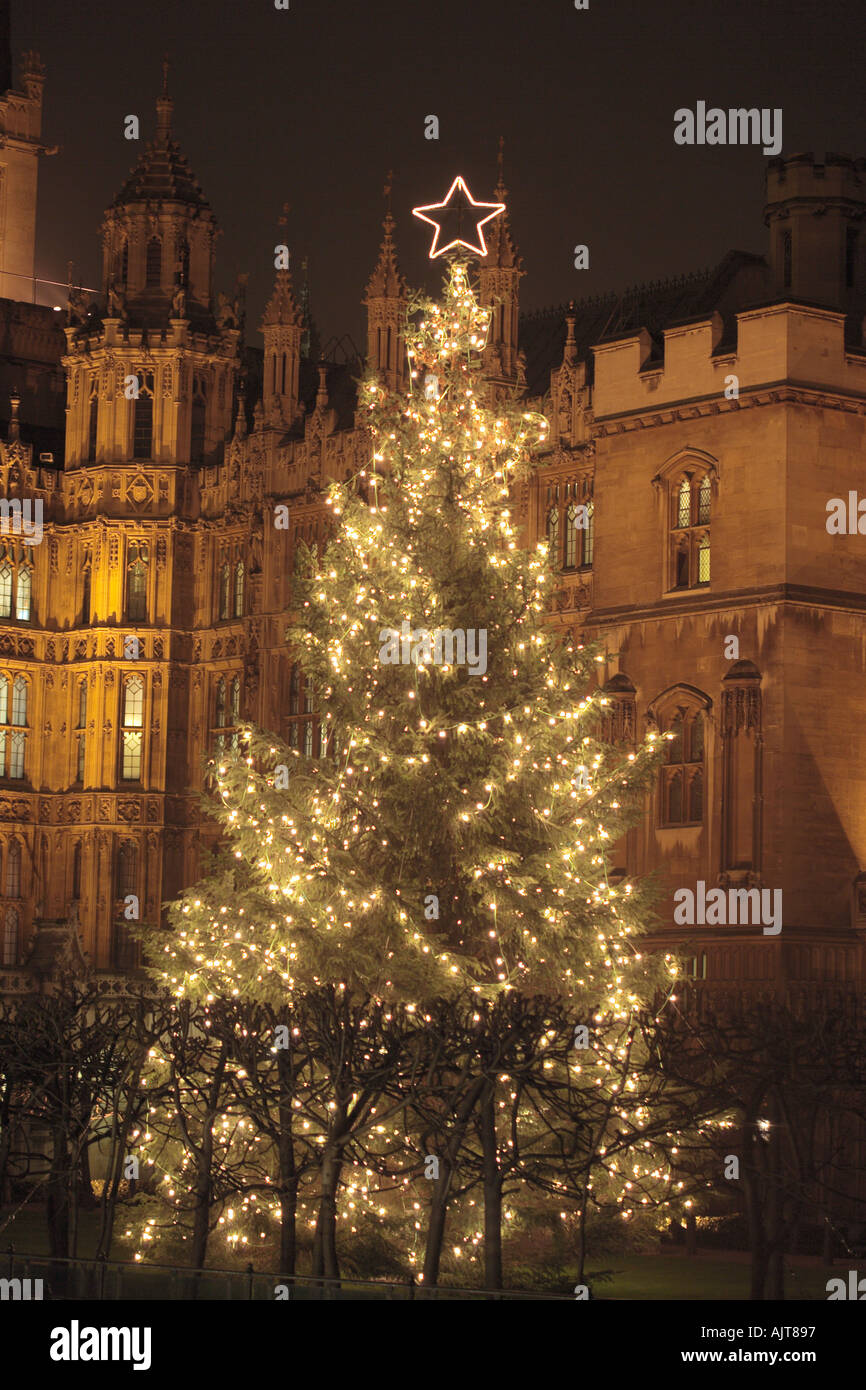 Tree at the foot of Big Ben Houses of Parliament London England UK ...