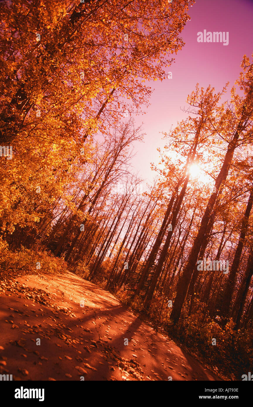 Cool sun pics hi-res stock photography and images - Alamy