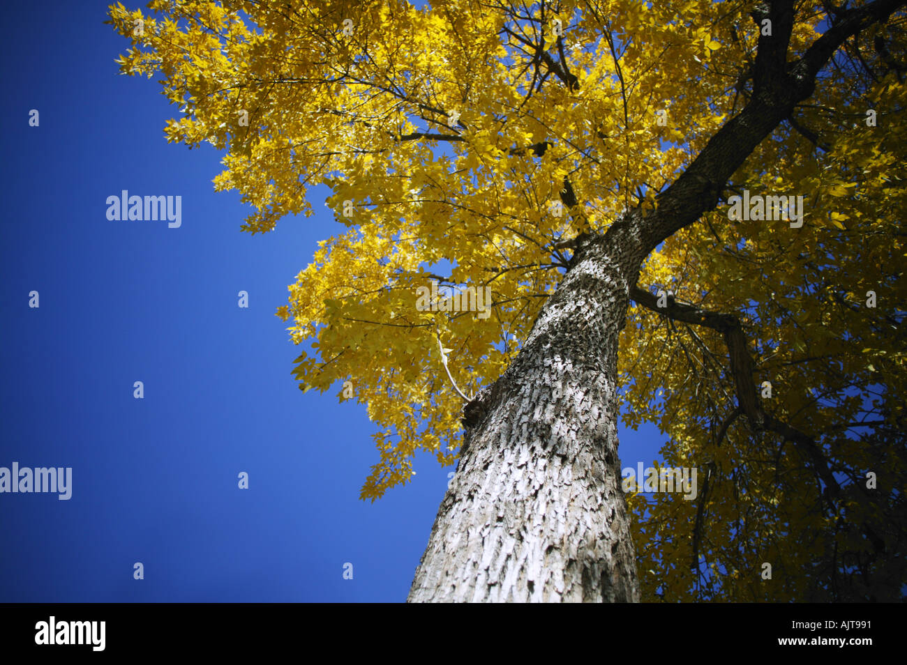 Tall object hi-res stock photography and images - Alamy