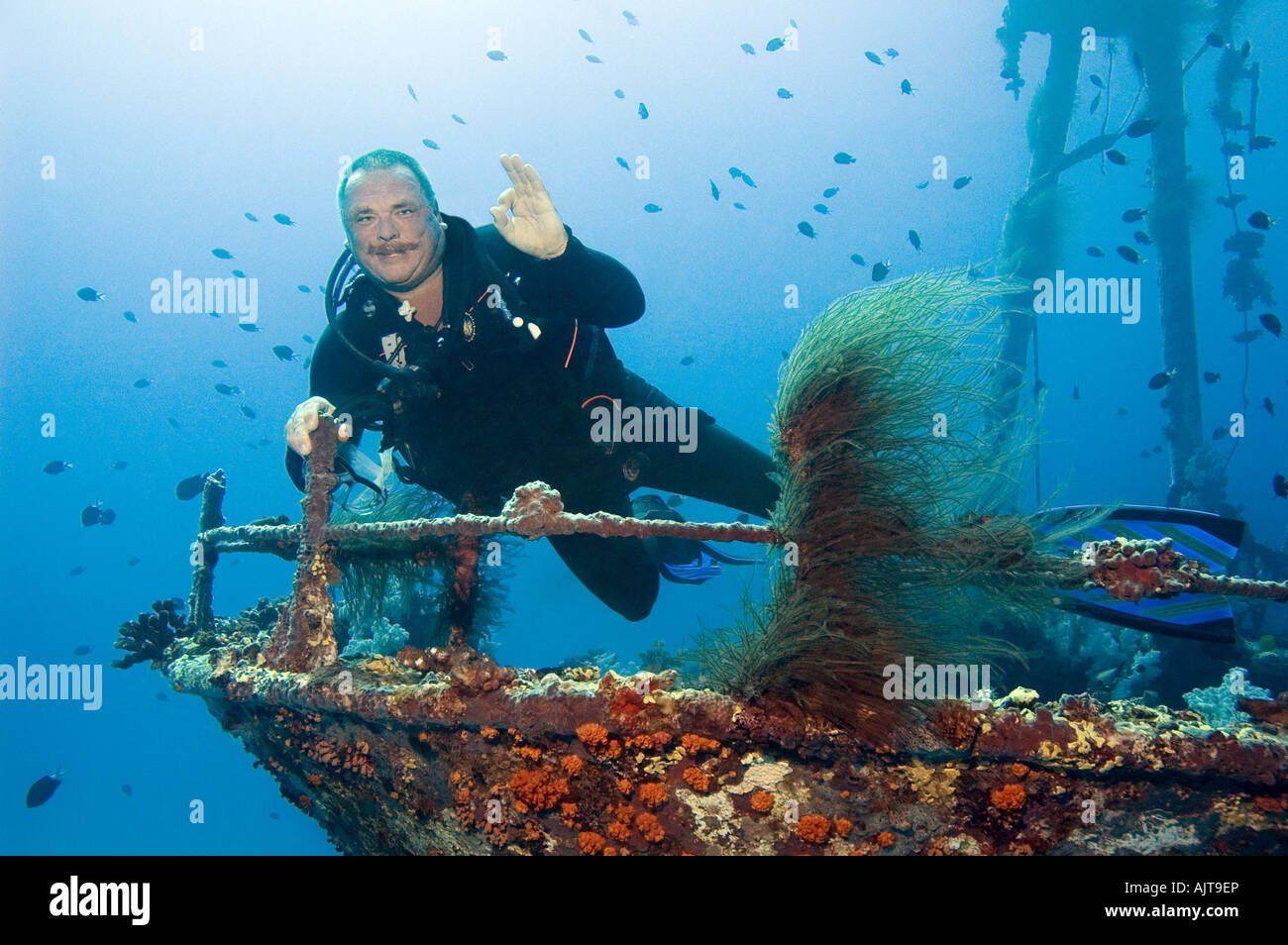 scuba diver without mask on the Jabeda wreck Mauritius Stock Photo - Alamy