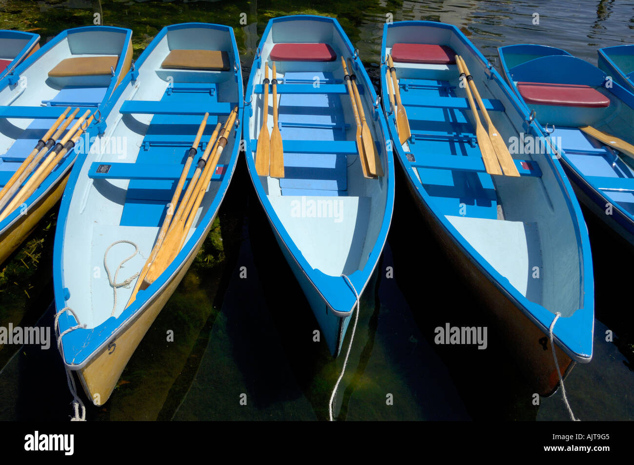 Rowing boats use hi-res stock photography and images - Alamy
