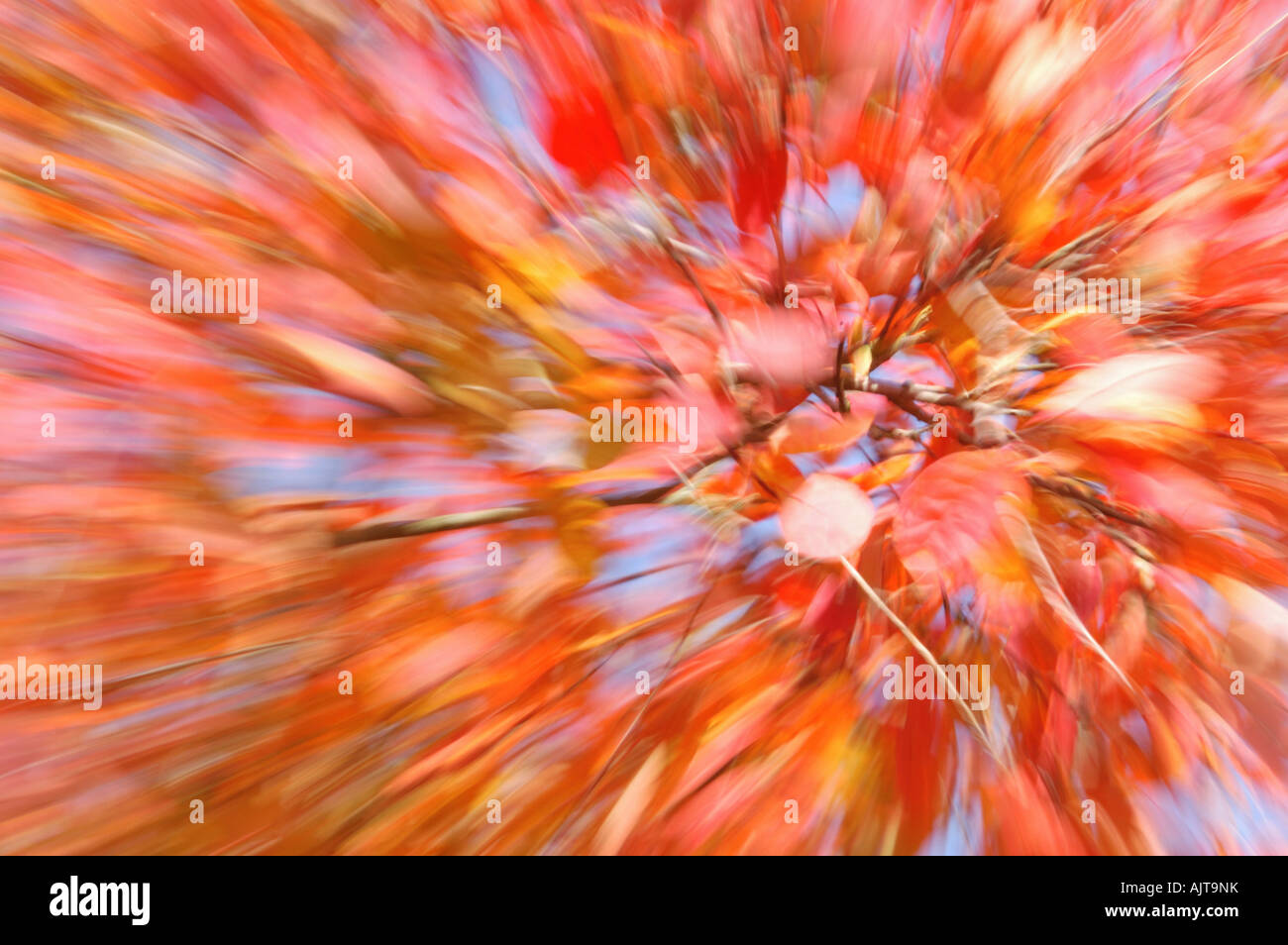 Explosion of colour hi-res stock photography and images - Alamy