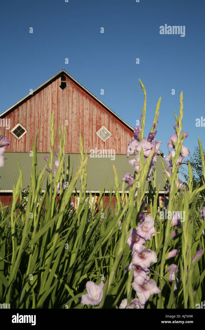 Low angle view of red barn Stock Photo - Alamy