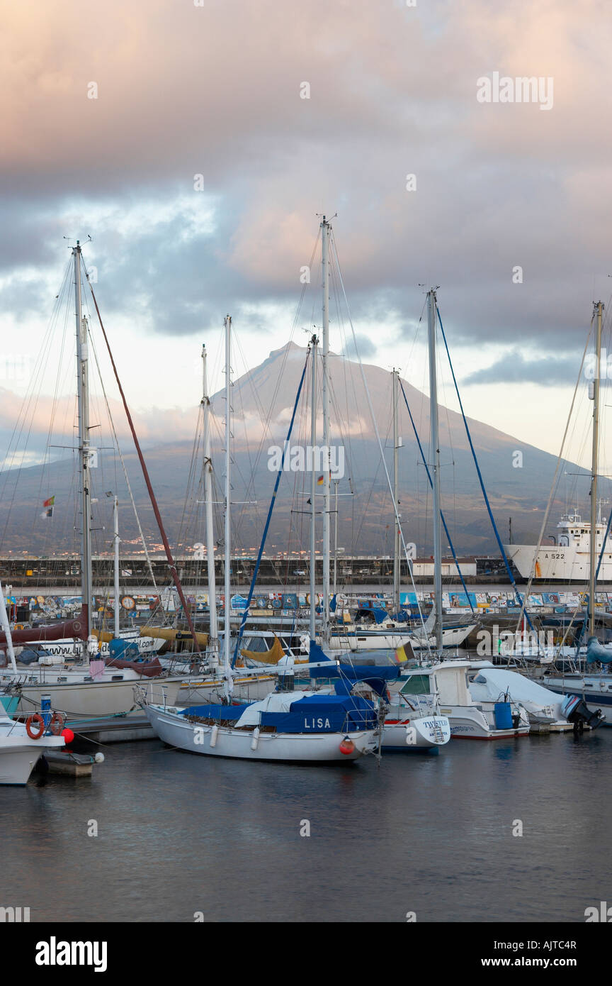 Yachts in Horta Marina, Faial island, with the island of Pico in the ...