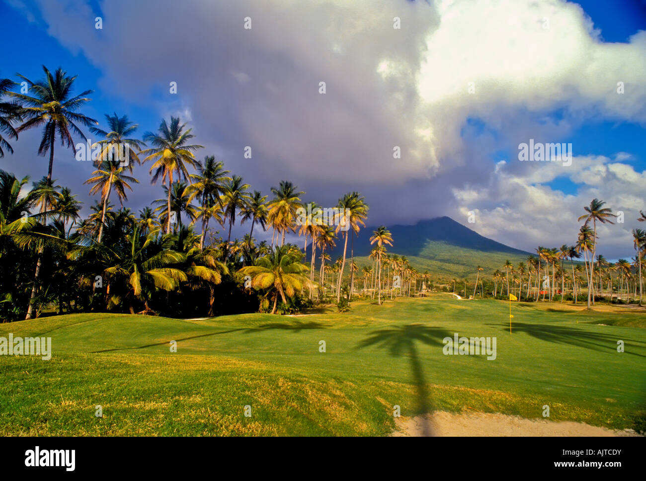 golf course, mt mount nevis, background, palm trees, four seasons ...