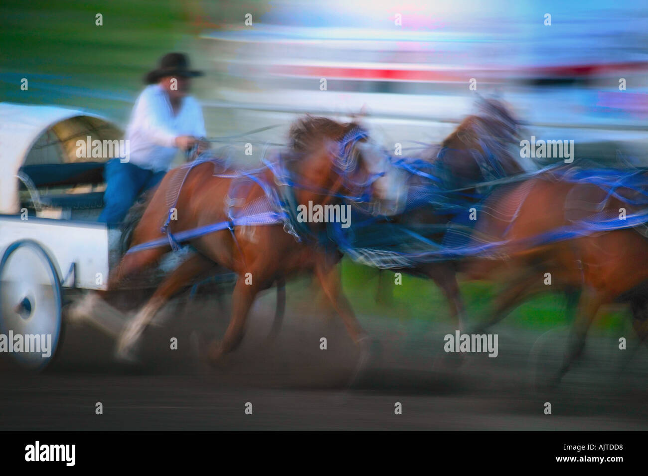 Man with team of horses hi-res stock photography and images - Alamy