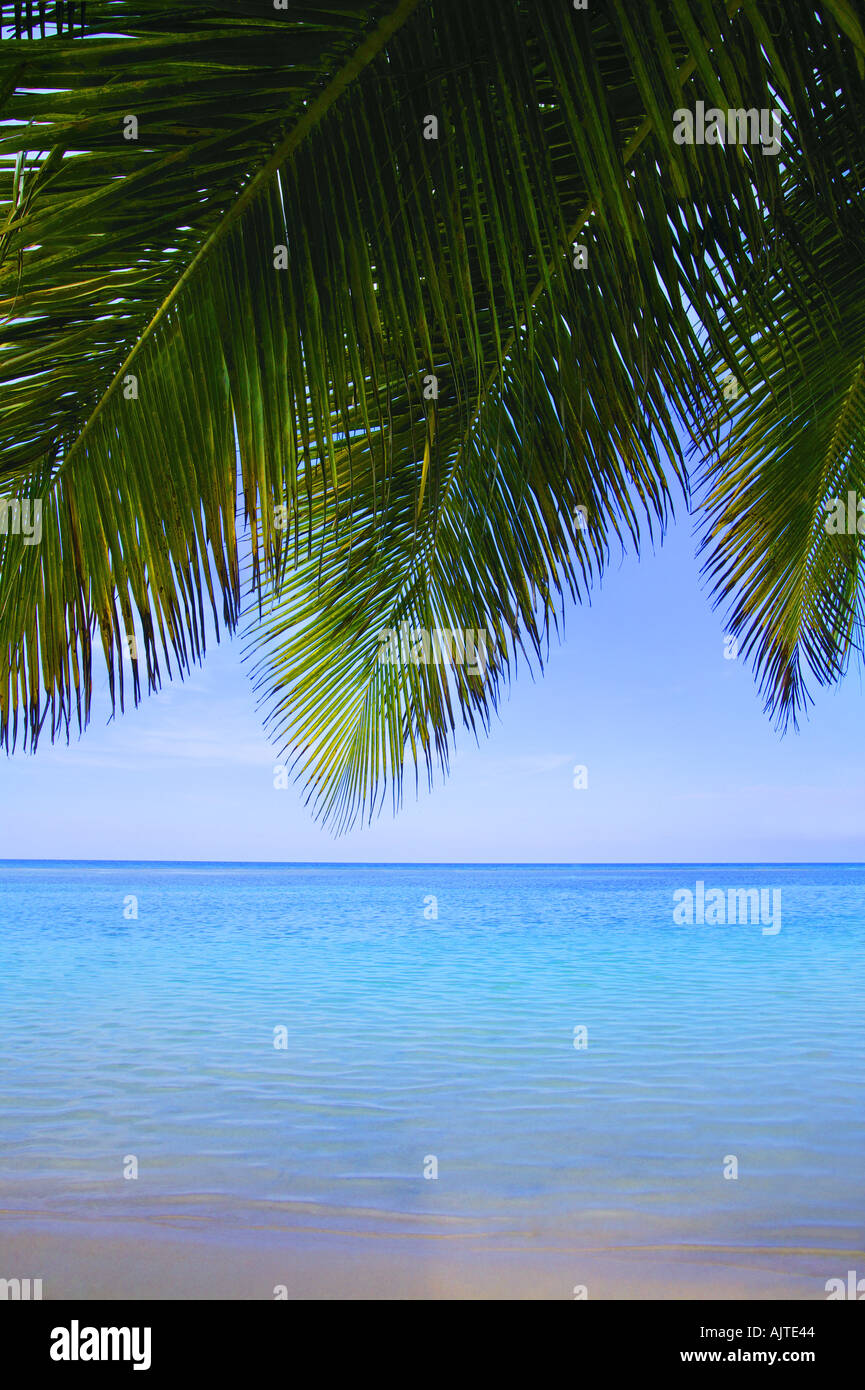 Peaceful tropical beach hi-res stock photography and images - Alamy