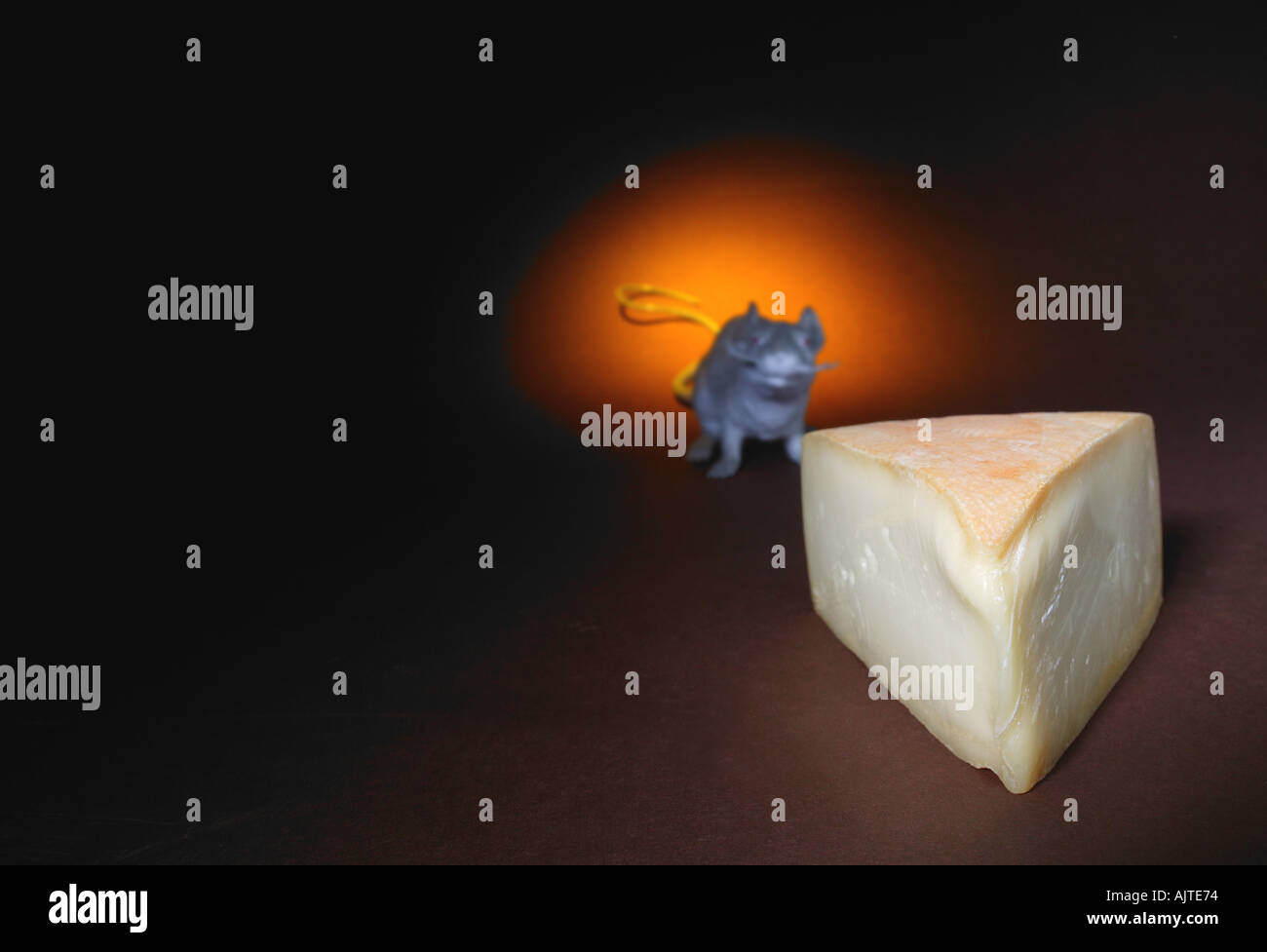 Rodent pics hi-res stock photography and images - Alamy