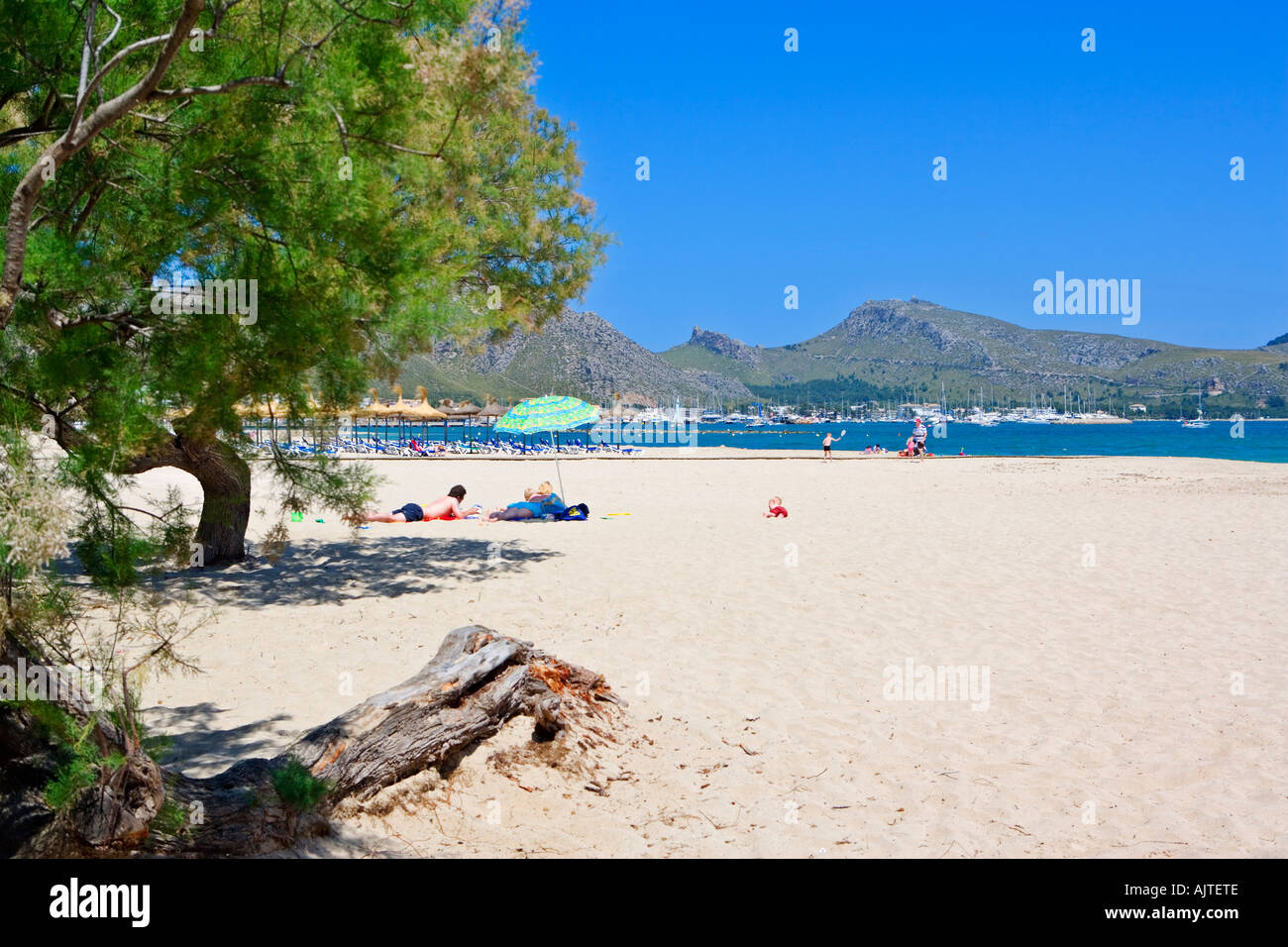 PUERTO POLLENSA MAJORCA Stock Photo - Alamy